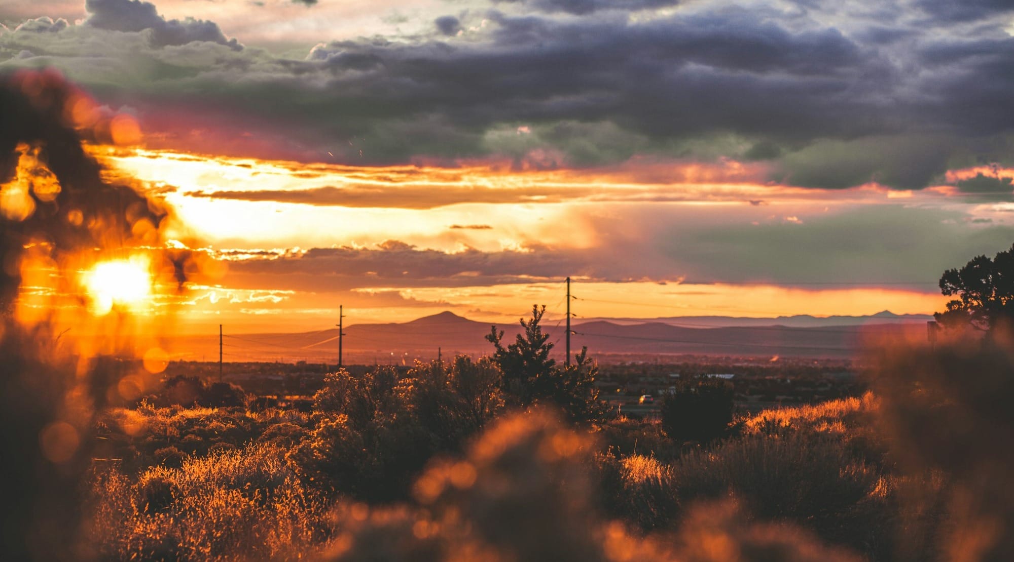 🌱 Reawakening to Indigenous Queer Wisdom