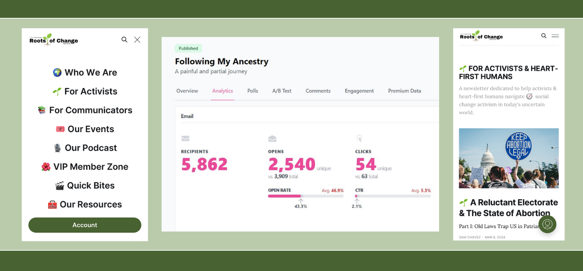 🌺 Evaluating Beehiiv & Ghost Newsletter Platforms
